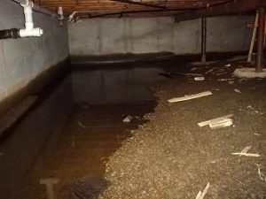 Comprehensive Guide to Basement Drainage Systems | Ark Basement ...